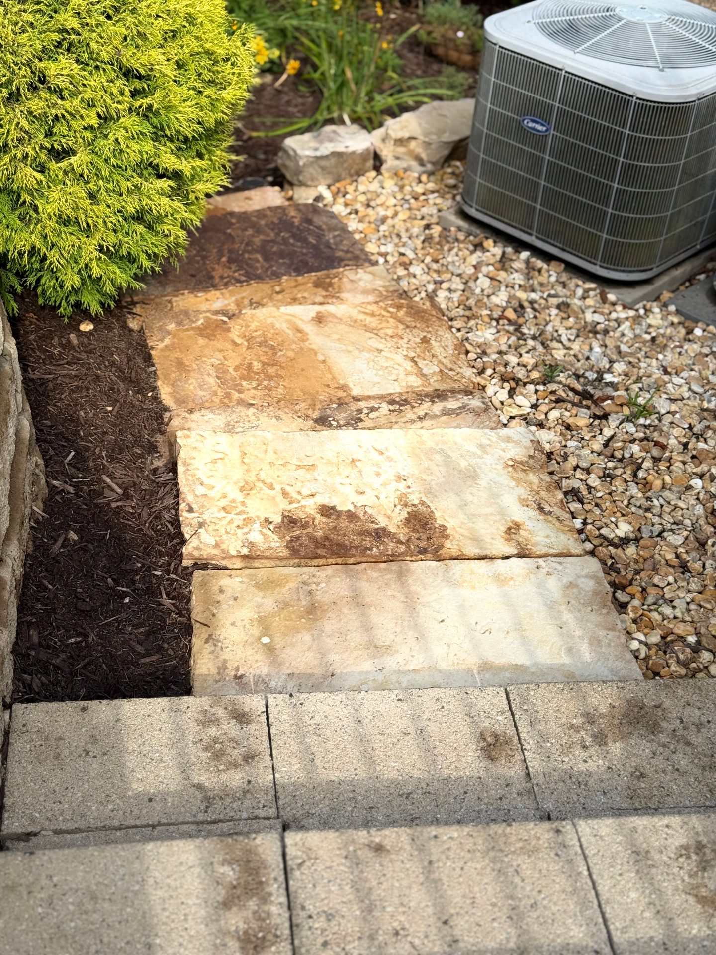 Pressure Washing Gallery | Before & After | Proline